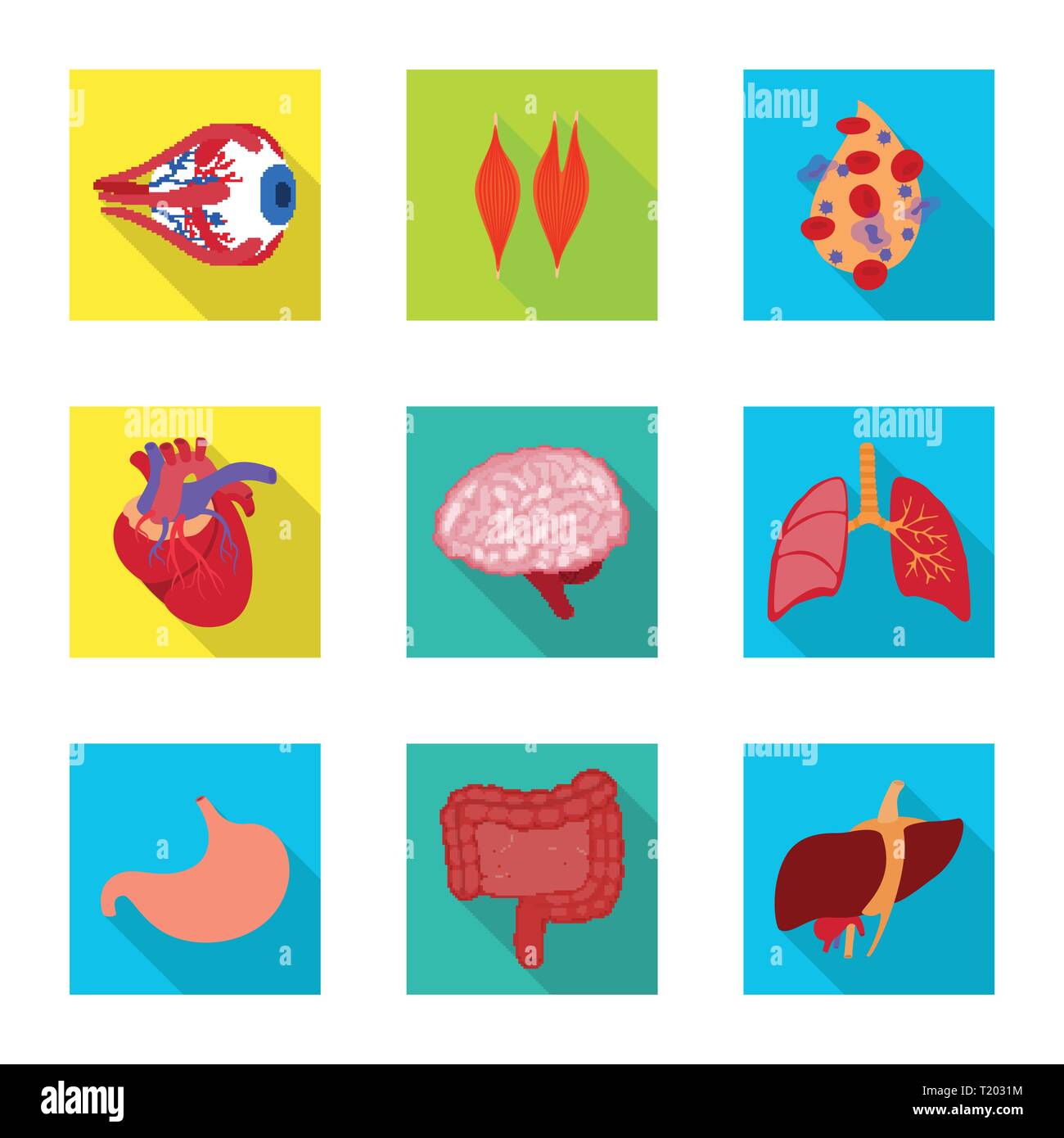 Vector illustration of human and health symbol. Collection of human and ...