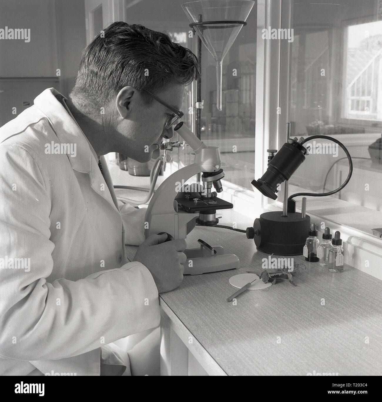 1950s, plant research in laboratory, England, UK Stock Photo - Alamy
