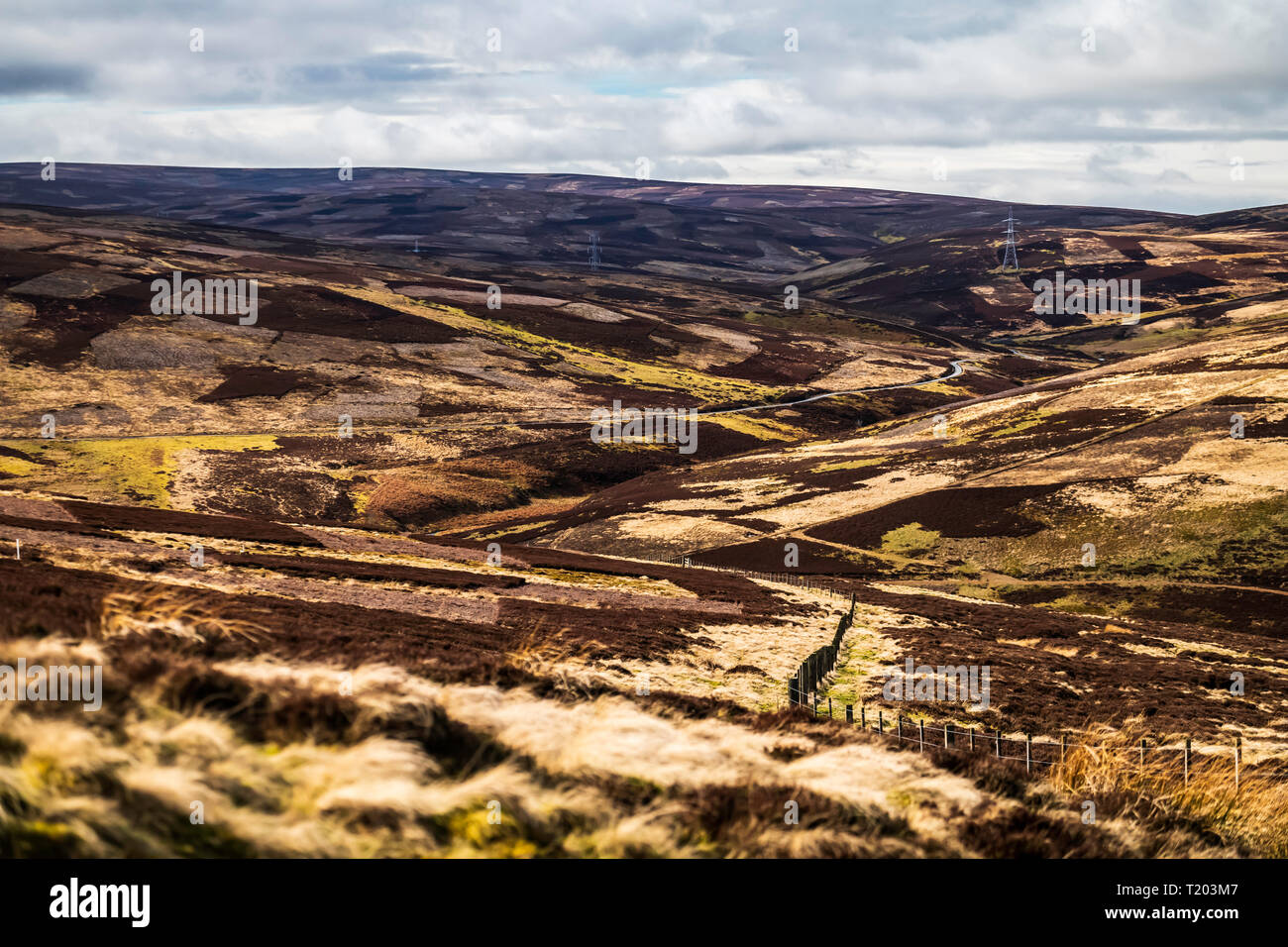 Borders Scotland Longformacus High Resolution Stock Photography and ...