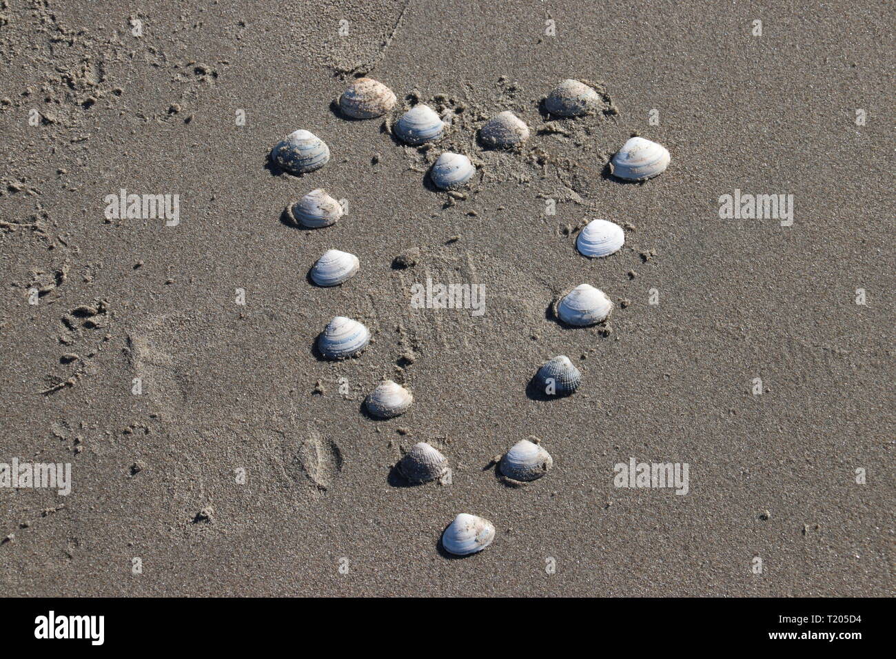 Heart made shells on beach hi-res stock photography and images - Alamy