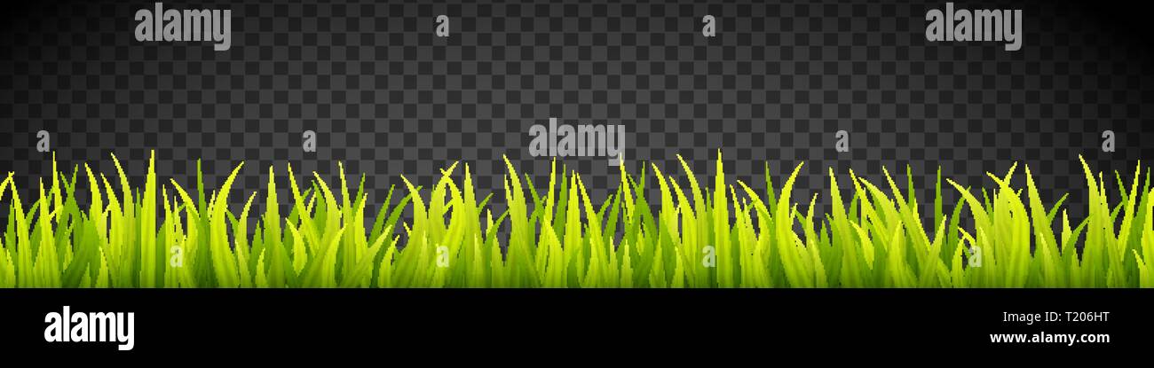 Fresh and green grass banner lines. Herbal growth overlay. Sport field ...