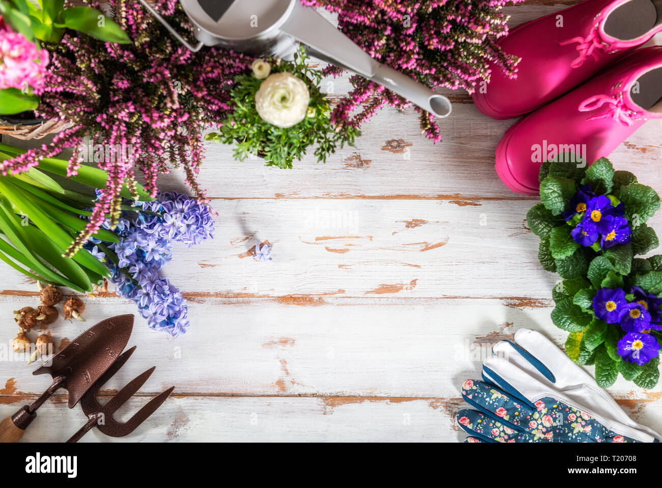 Gardening tools and flowers in the pots in preparation for the planting ...