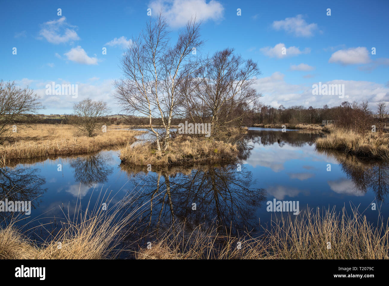 Cors Caron Nature Reserve 0 Stock Photo - Alamy