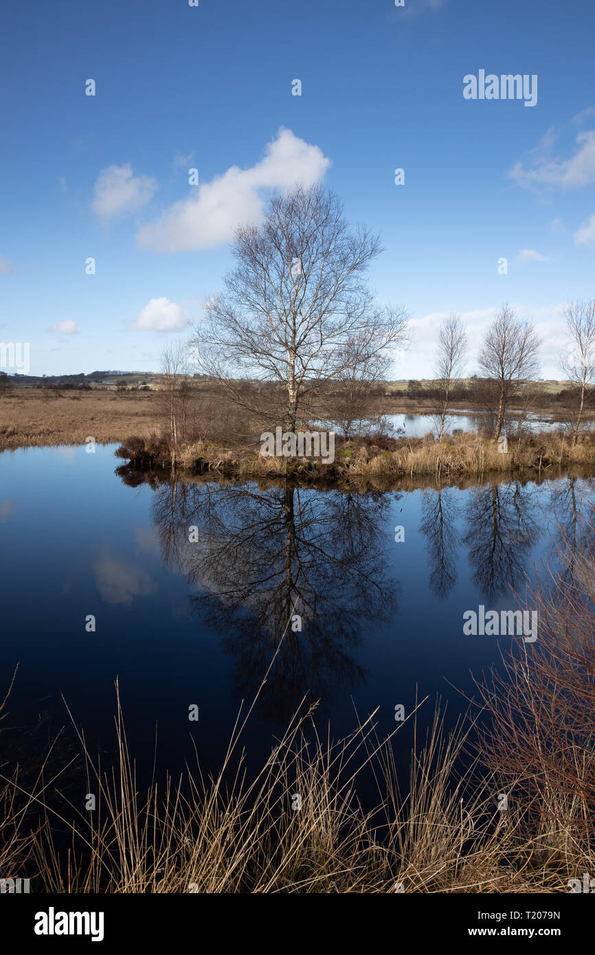 Cors Caron Nature Reserve 0 Stock Photo - Alamy