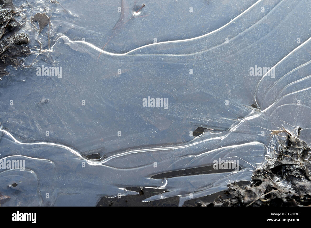 Ice on a frozen puddle in spring mud close up Stock Photo - Alamy