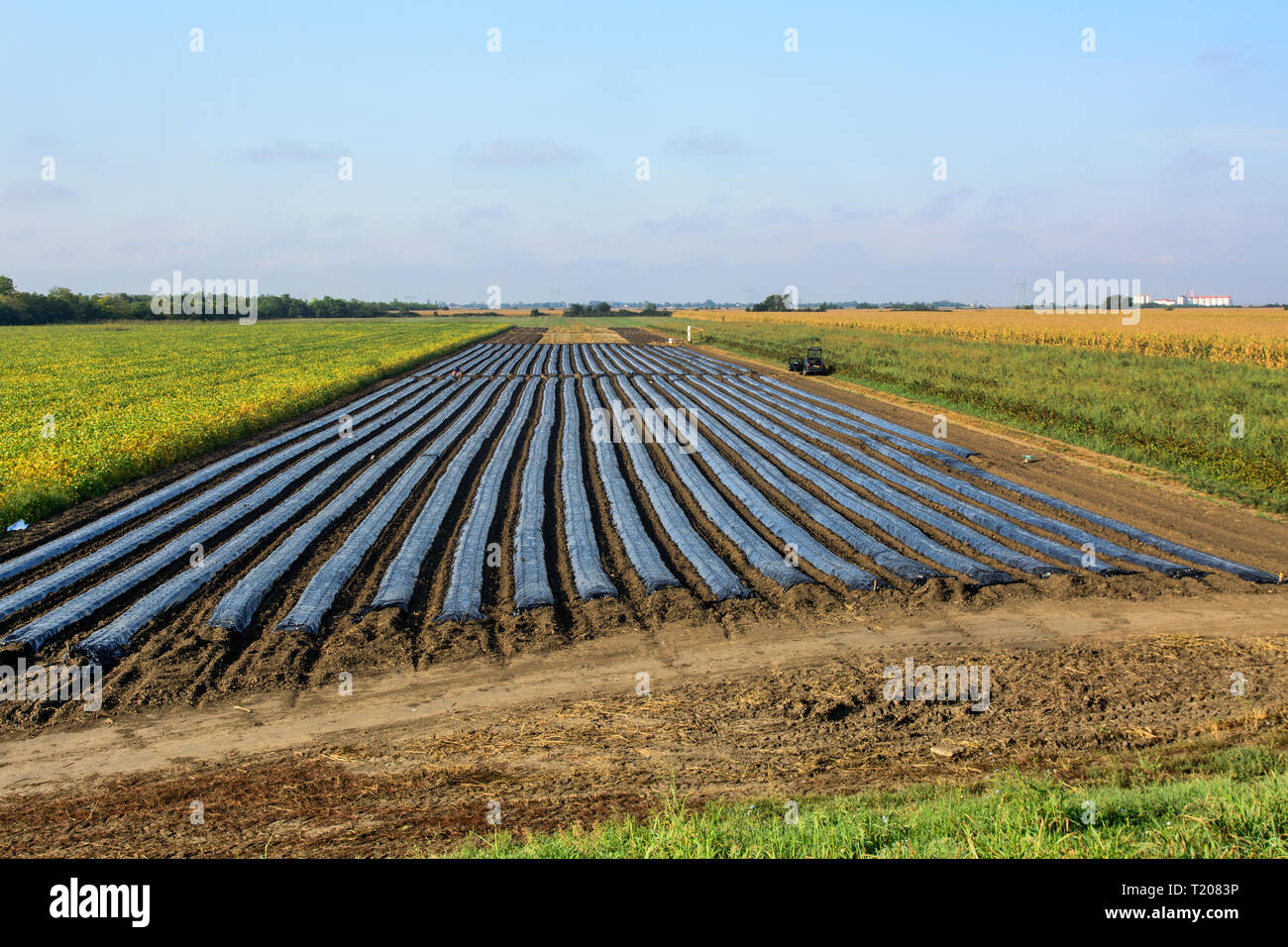 Workmen protection hi-res stock photography and images - Alamy