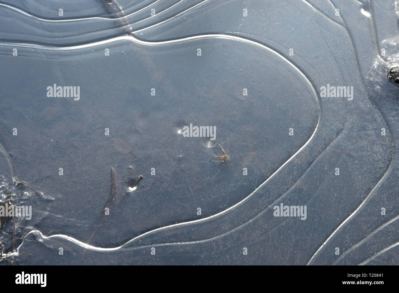 Texture mud wet dirt puddle hi-res stock photography and images - Alamy