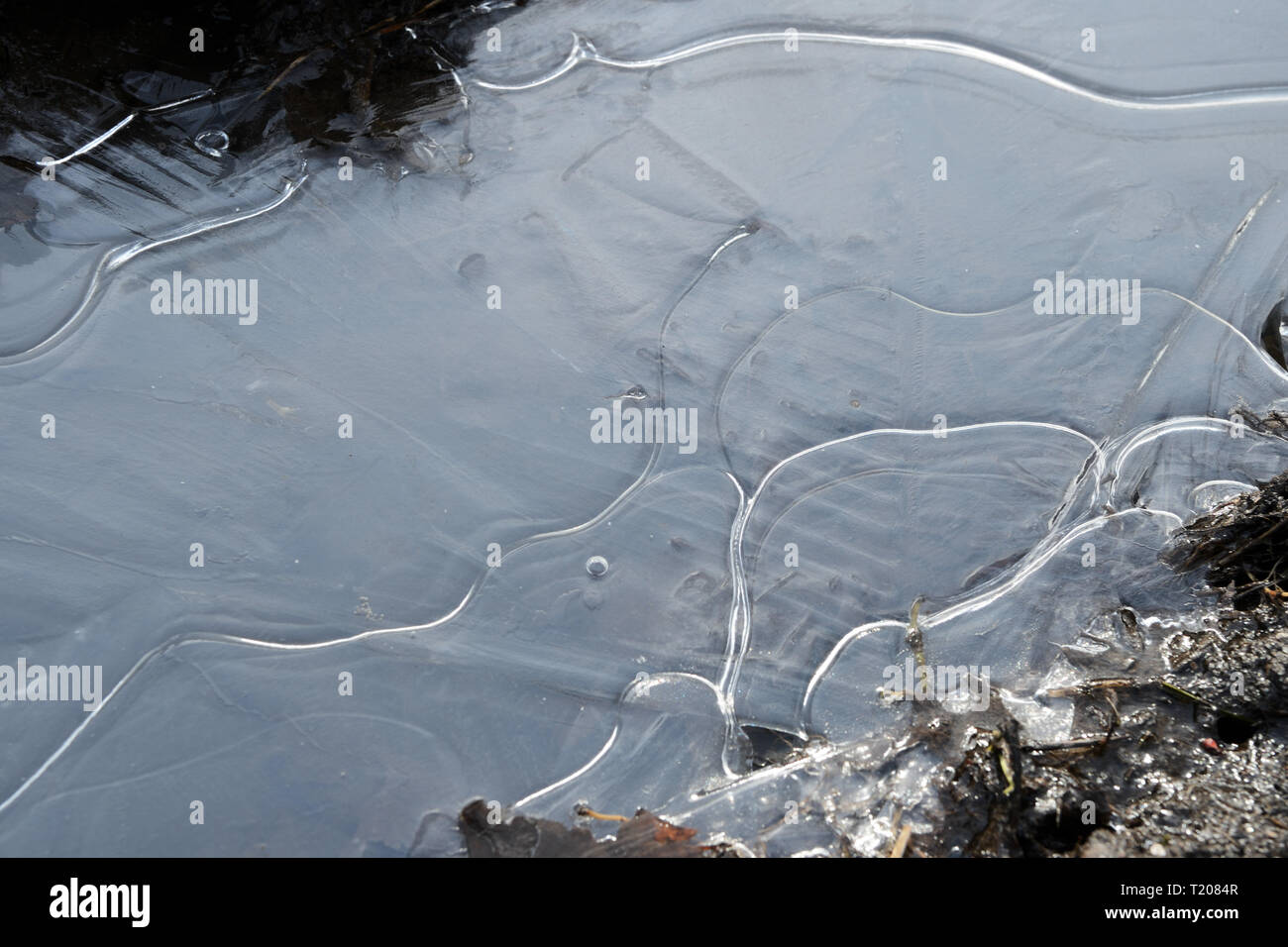 Texture mud wet dirt puddle hi-res stock photography and images - Alamy