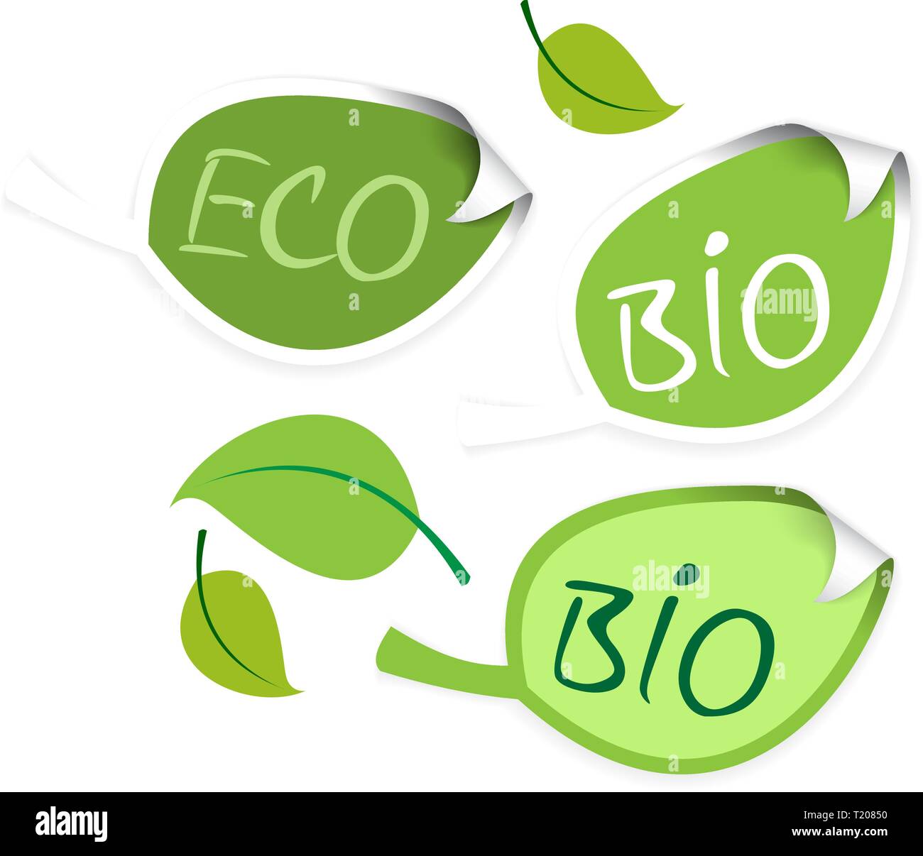 Set of leaf labels for organic, fresh, healthy, bio food Stock Vector ...