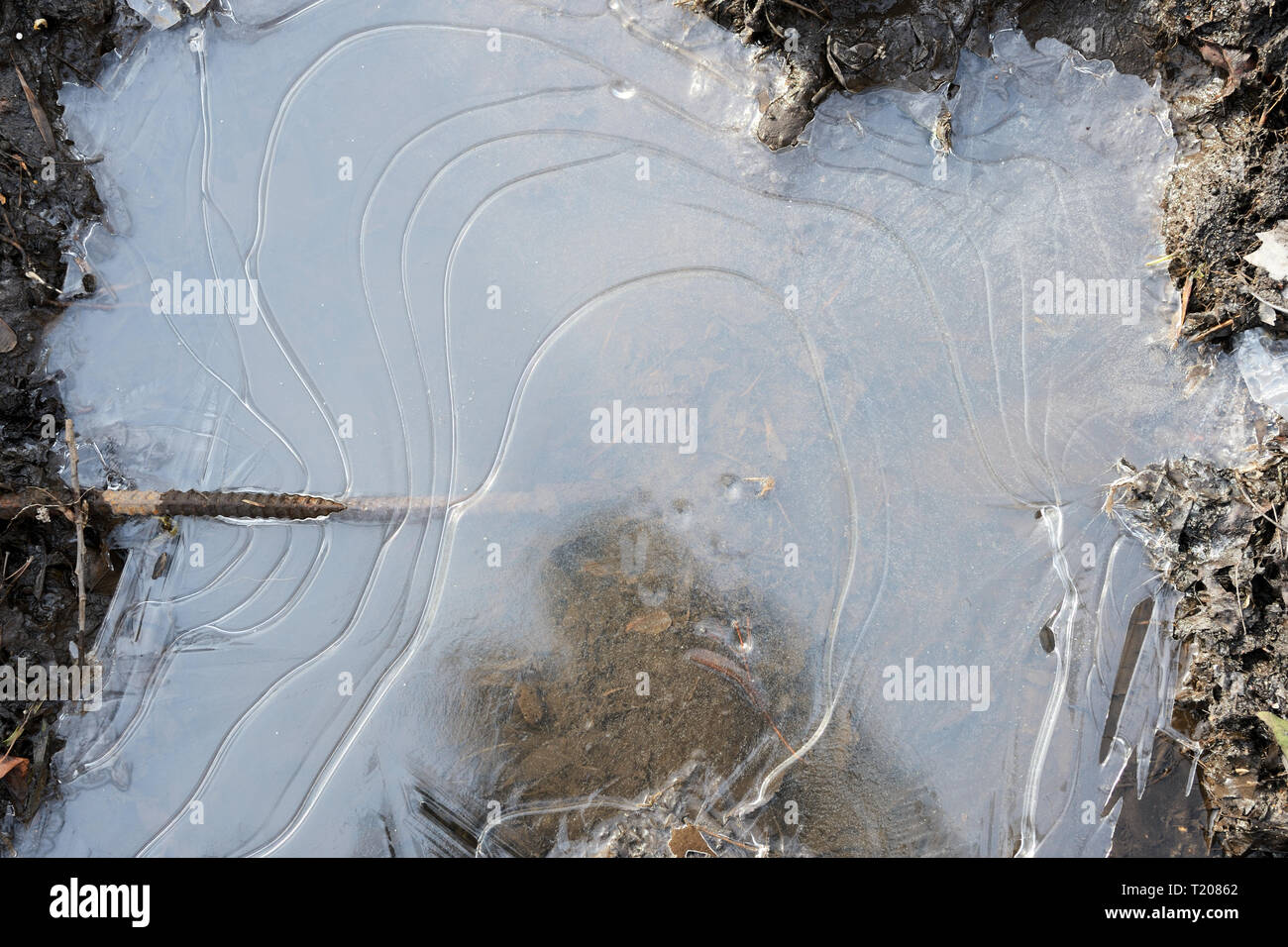 Mud puddle texture hi-res stock photography and images - Alamy