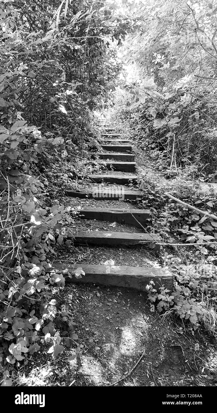 Trail staircase made of reused railway sleepers Stock Photo - Alamy