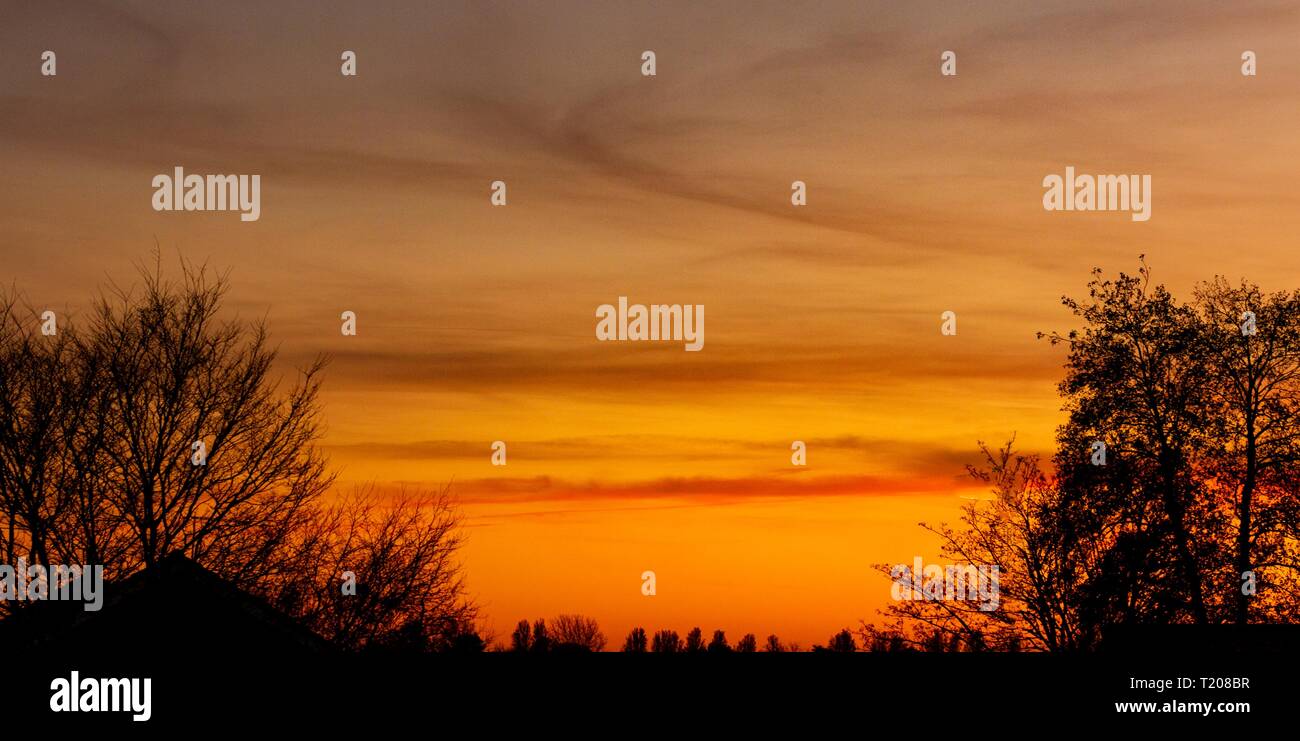 Sunset of silhouetted trees Stock Photo - Alamy