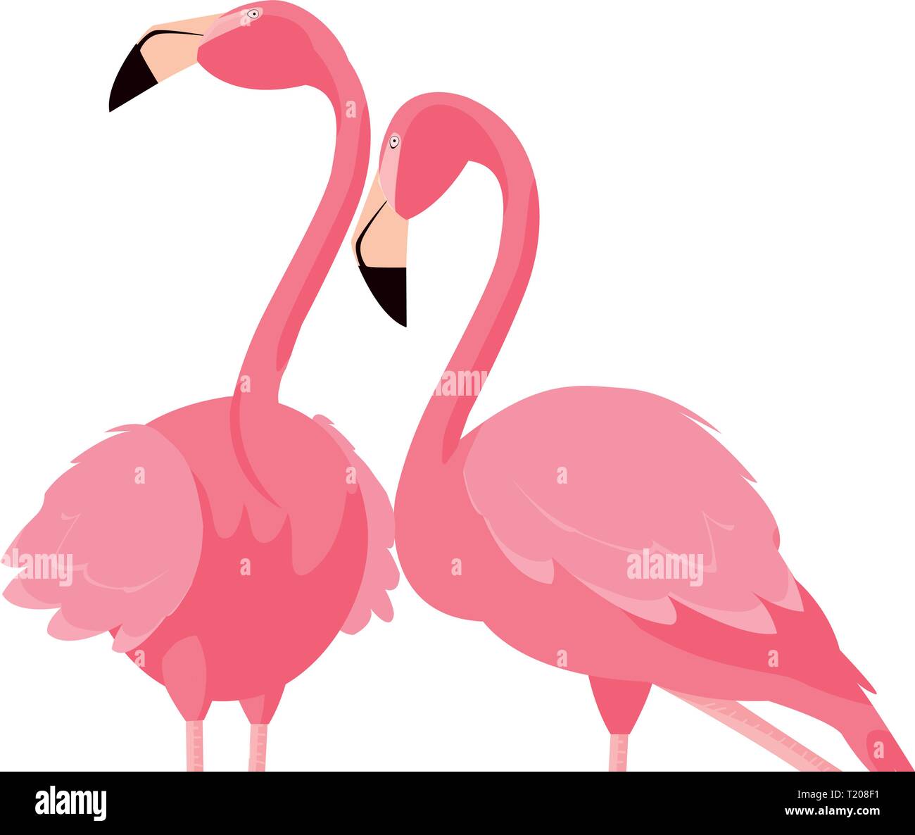 elegant flamingo birds couple vector illustration design Stock Vector ...