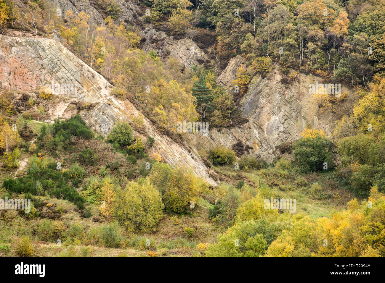 Woodland on The Ercall and around Ercall Quarry beside The Wrekin ...