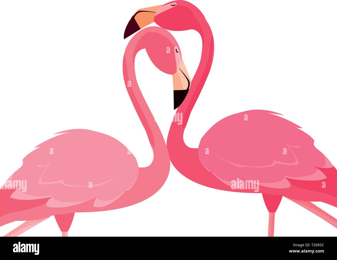 elegant flamingo birds couple vector illustration design Stock Vector ...