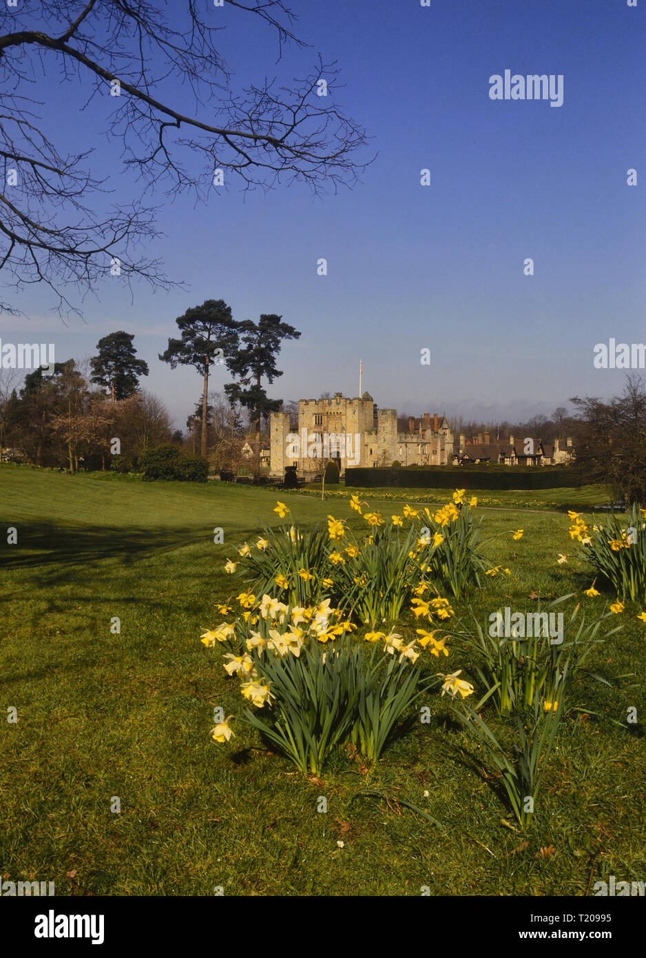 Springtime at Hever Castle, Kent, England, UK Stock Photo - Alamy