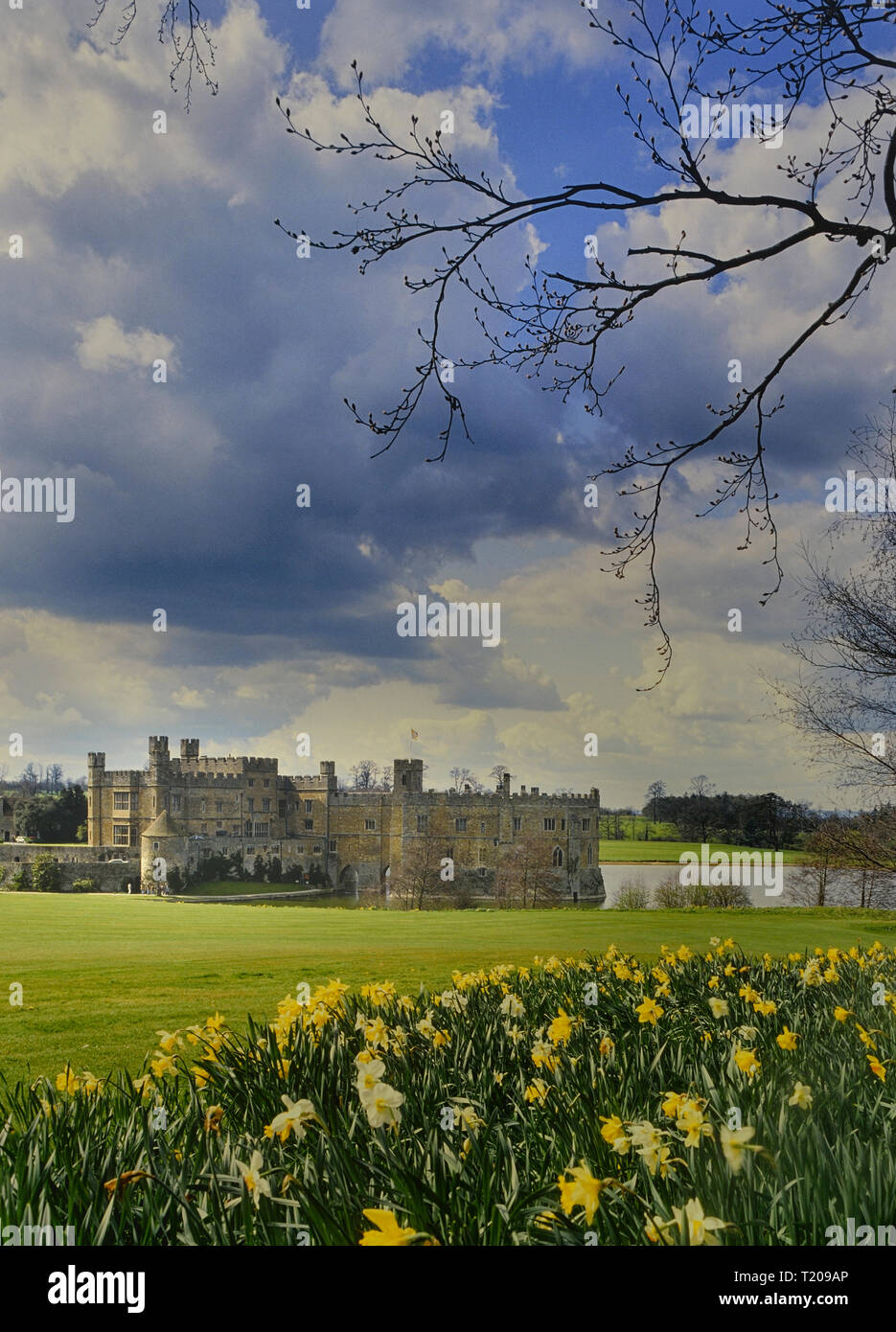 Springtime at Leeds Castle, Kent, England, UK Stock Photo - Alamy