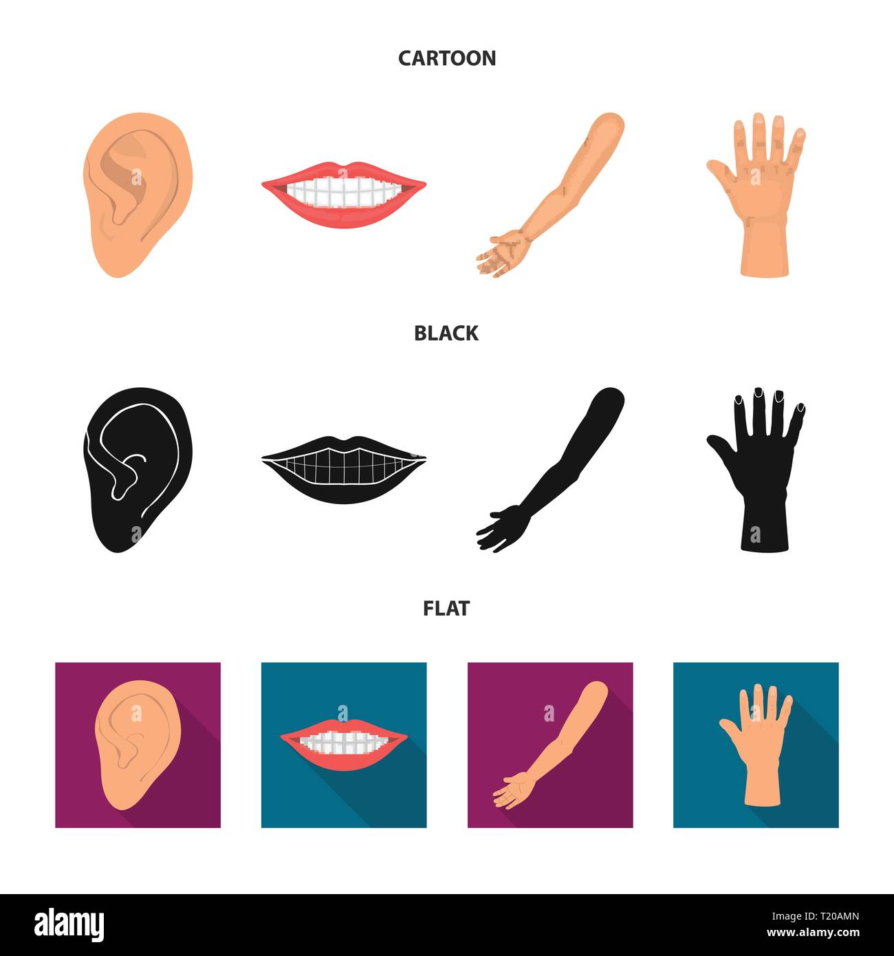 Vector illustration of body and part sign. Set of body and anatomy ...