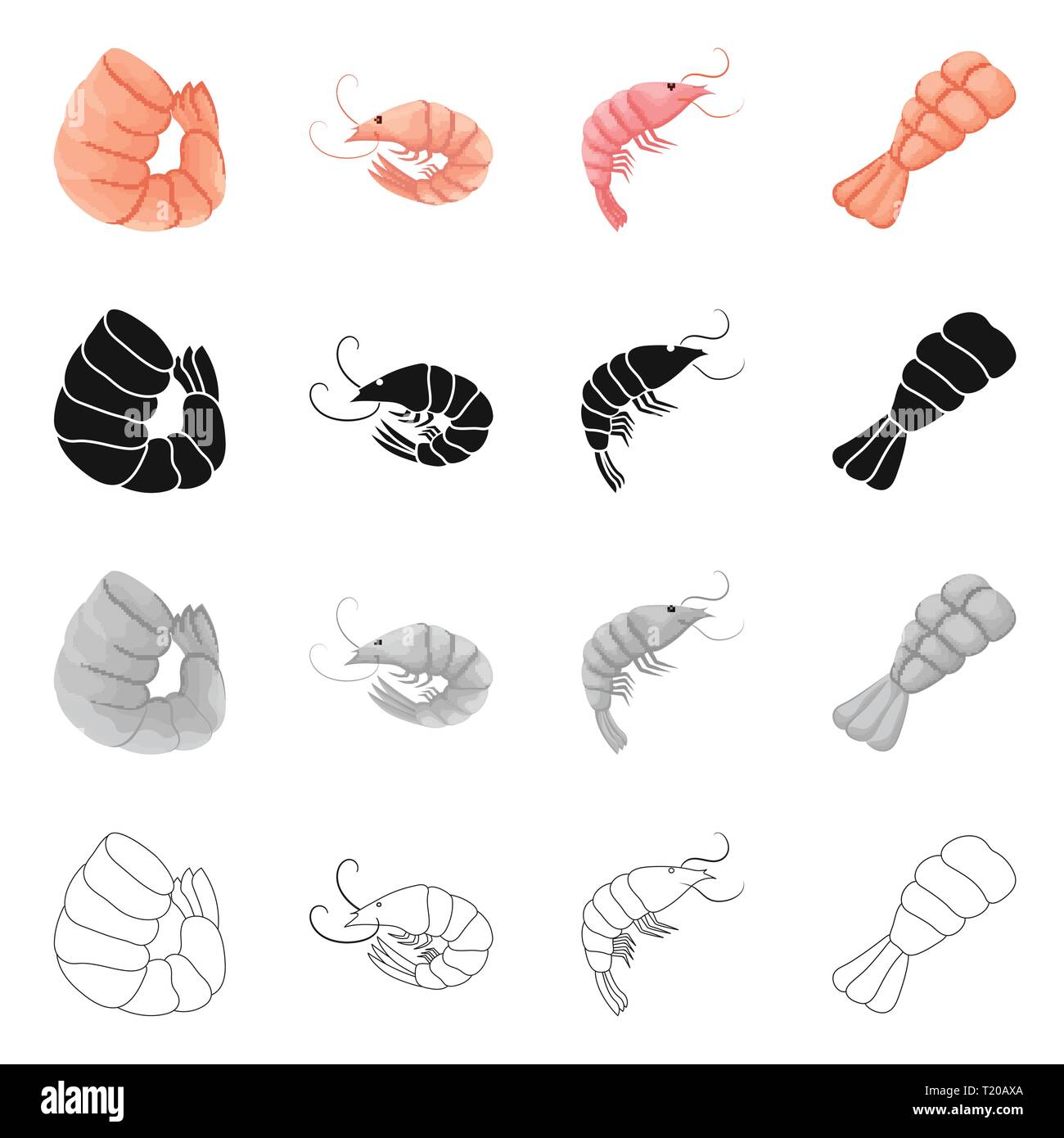 prawn,raw,cooked,fresh,luxury,underwater,atlantic,happy,aquatic,boiled ...