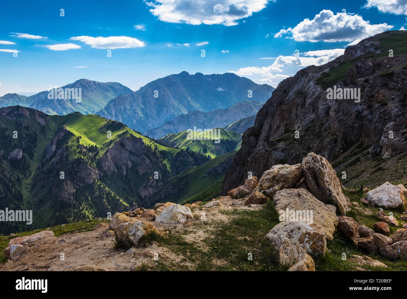 Moldo too hi-res stock photography and images - Alamy