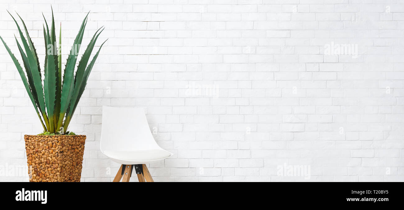Agave home plant and chair at white brick wall background, copy space ...