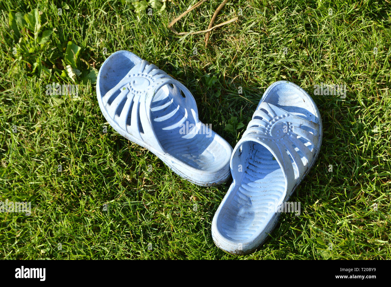 Feet flip flops on grass hi-res stock photography and images - Alamy