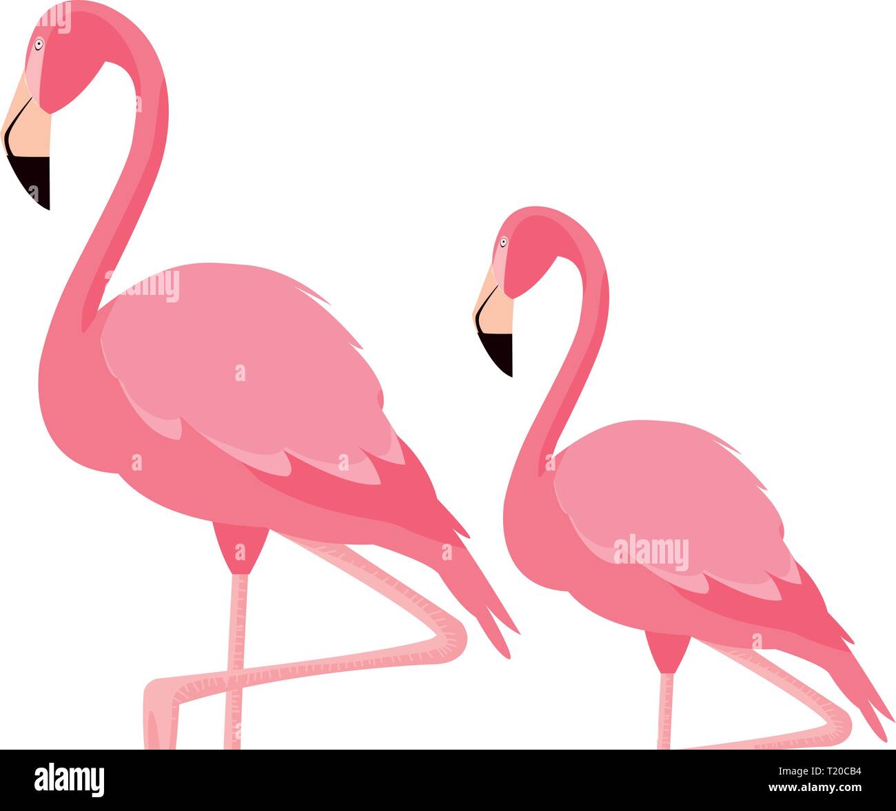 elegant flamingo birds couple vector illustration design Stock Vector ...