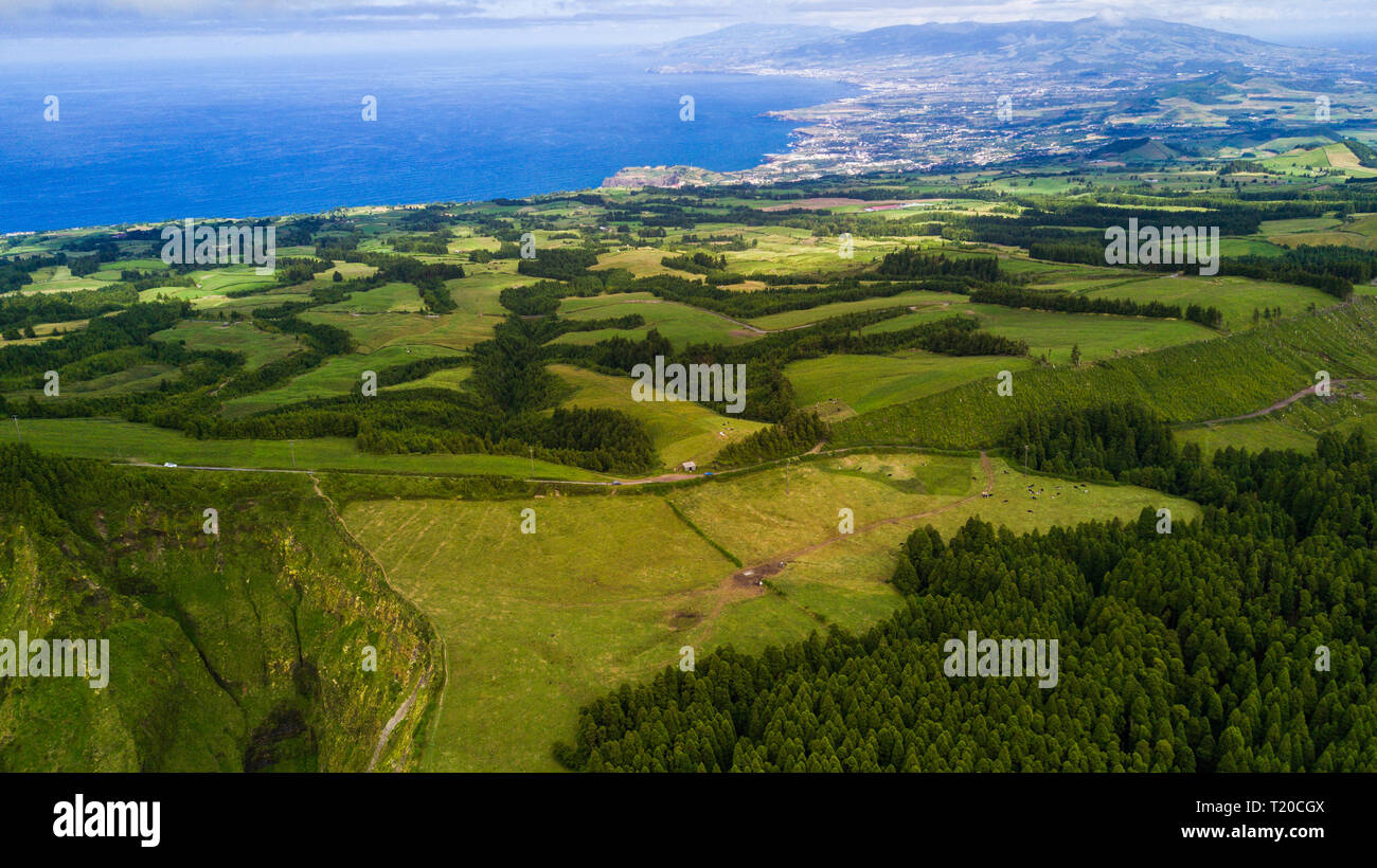 Drone view of amazing Azores landscape. Tea farm in the green fields on ...