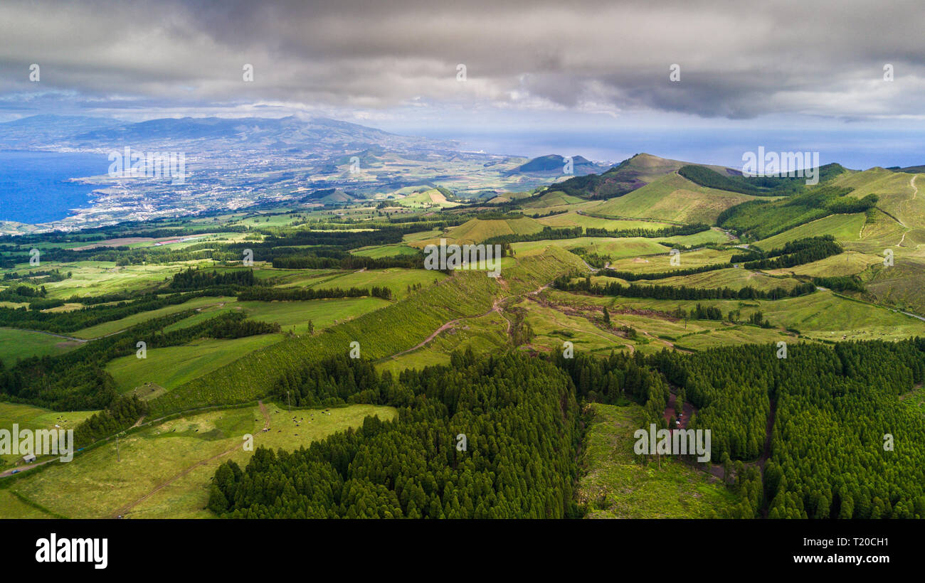 Drone view of amazing Azores landscape. Tea farm in the green fields on ...