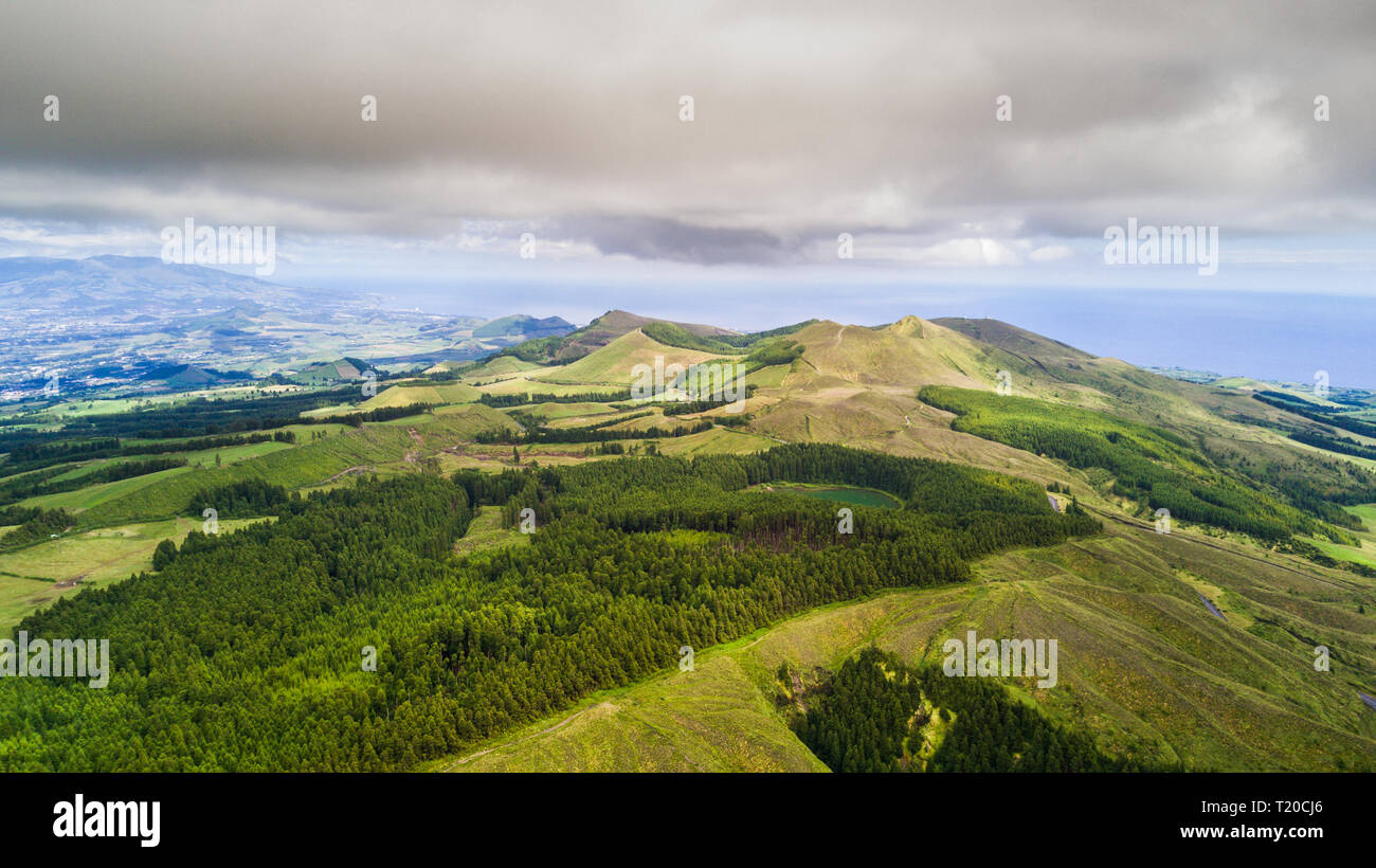 Drone view of amazing Azores landscape. Tea farm in the green fields on ...