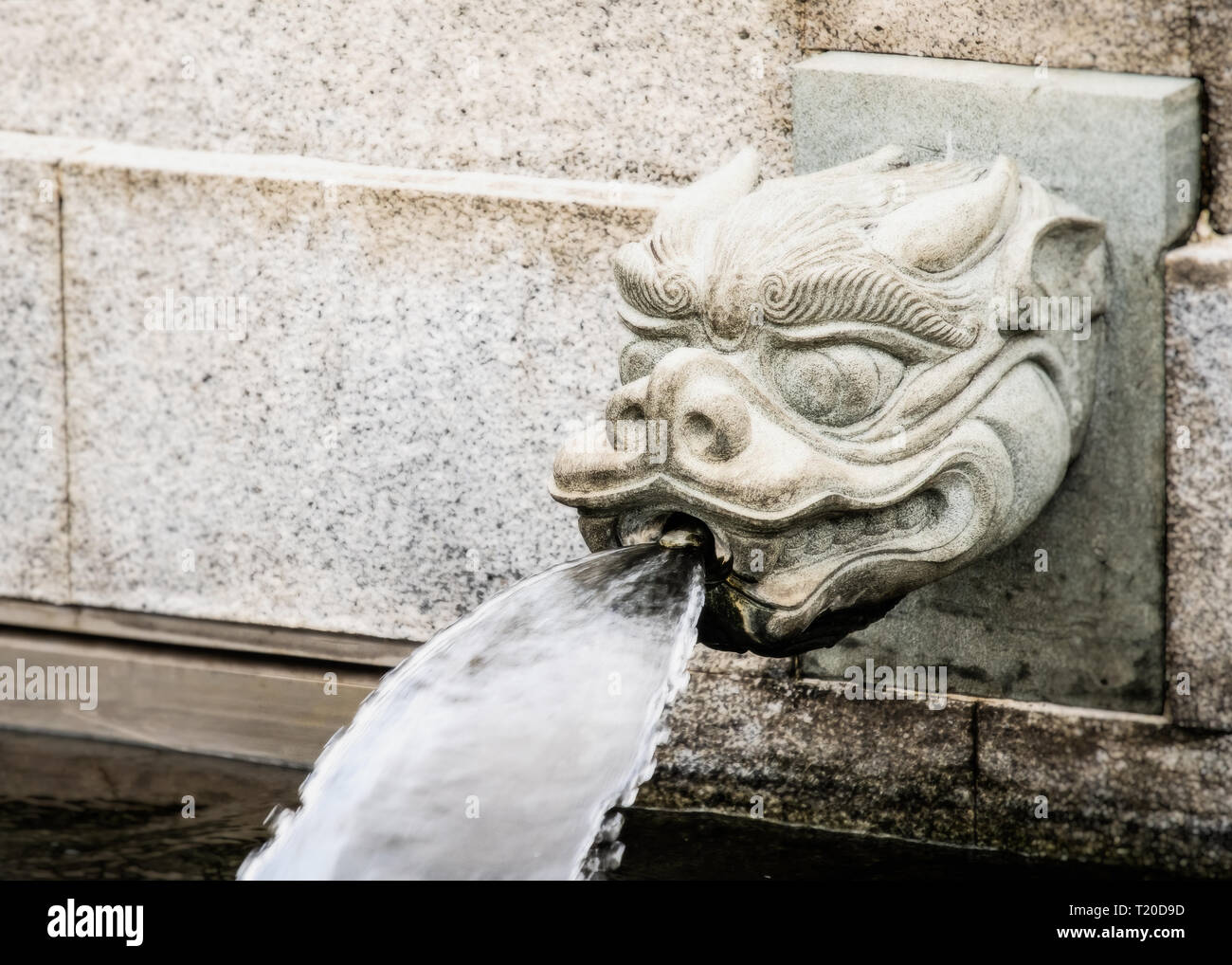 Dragon water spout hi-res stock photography and images - Alamy