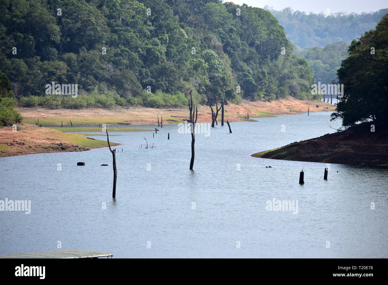 Periyar national park hi-res stock photography and images - Alamy