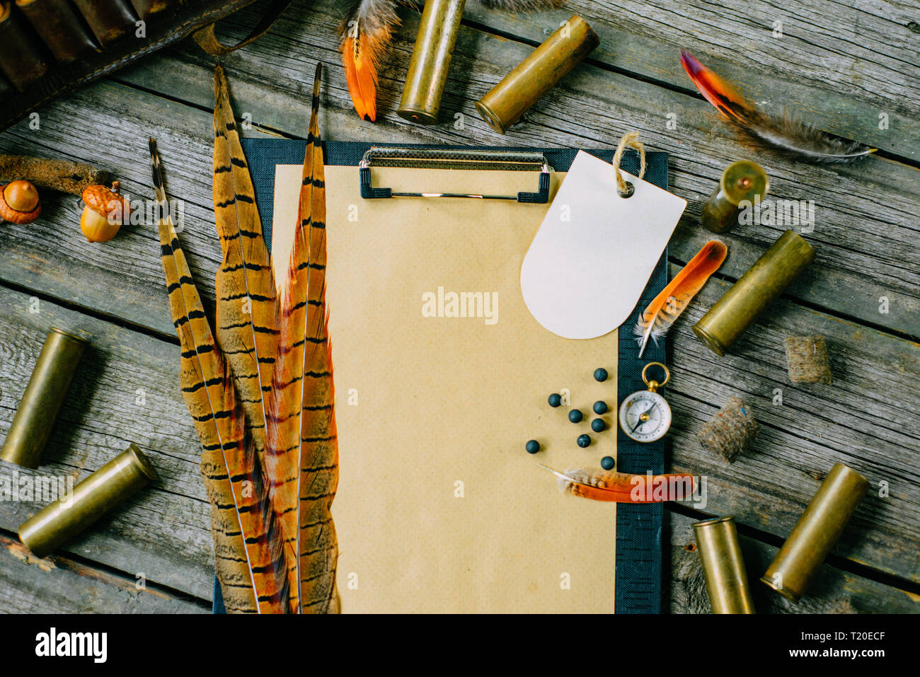 Paper with clipboard for information with pheasant feather and ...
