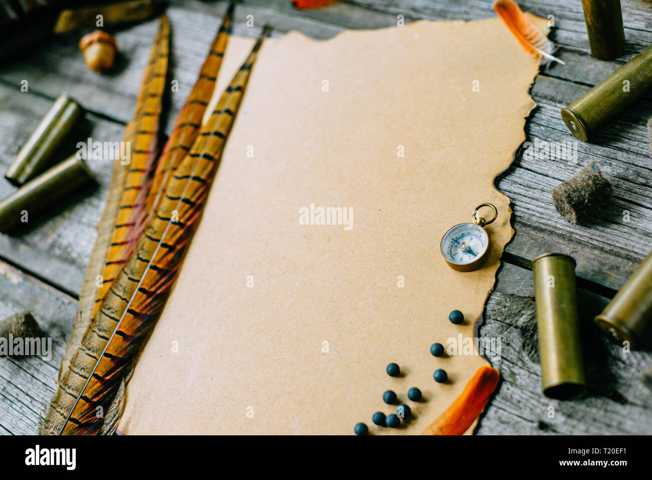 Closeup feather and cartridges on vintage paper for information on old ...