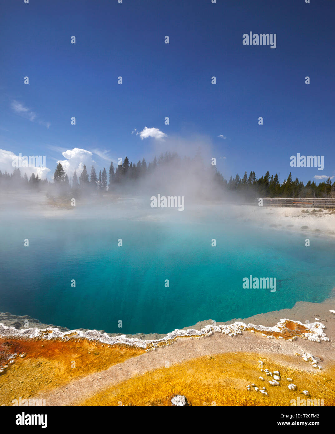 Hot Spring, Yellowstone National Park, America Stock Photo - Alamy