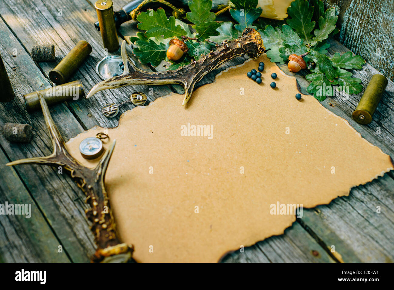 Vintage paper for information on wooden background, deer horns and oak ...