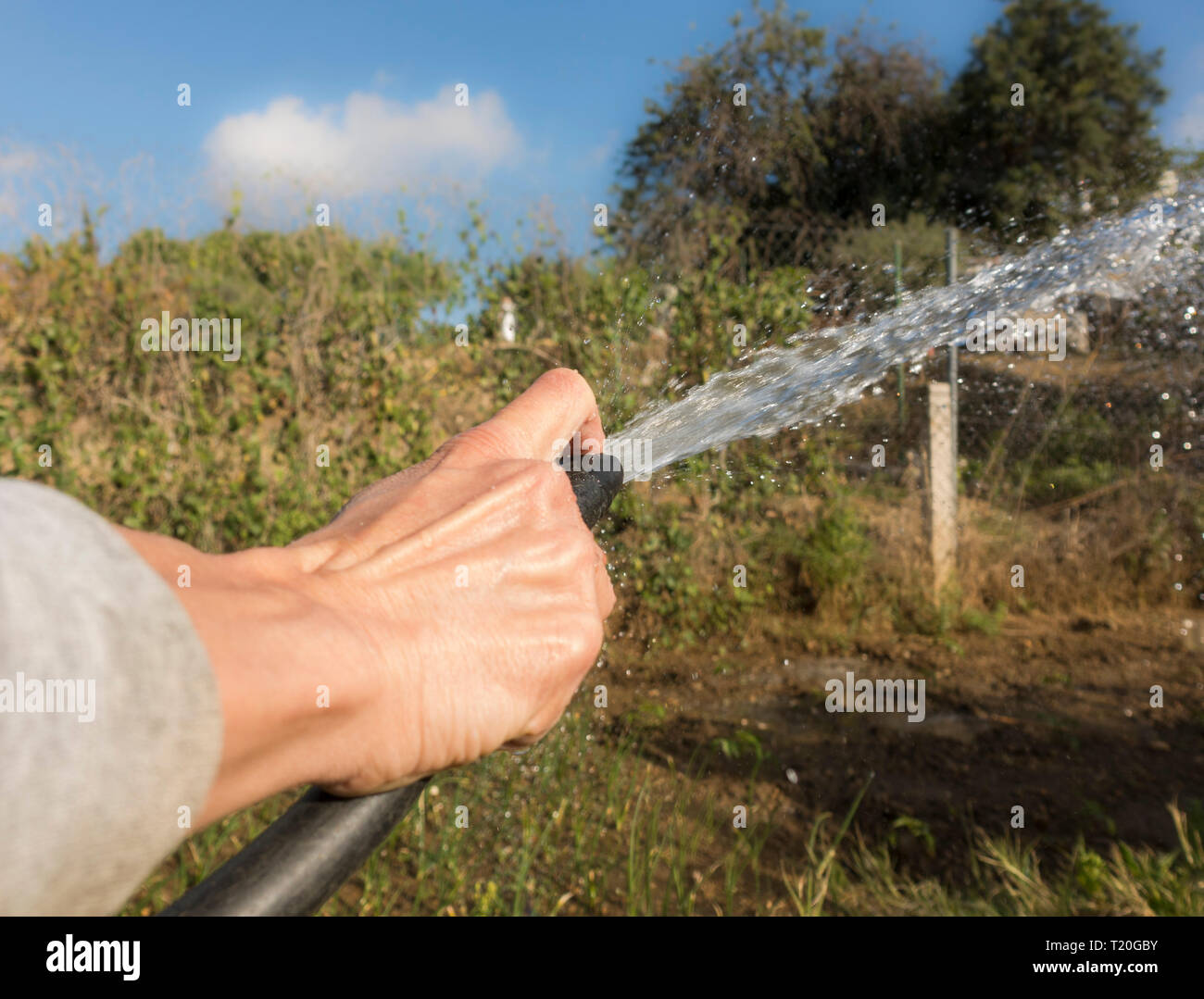 Garden hose water hi-res stock photography and images - Alamy