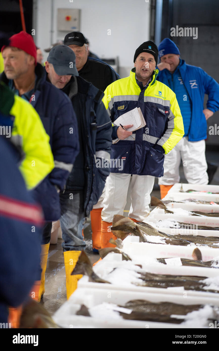 Fish merchants view fish at Peterhead Fish Market in Aberdeenshire, the ...