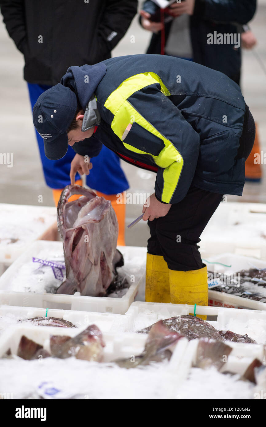 Fish merchants view fish at Peterhead Fish Market in Aberdeenshire, the ...