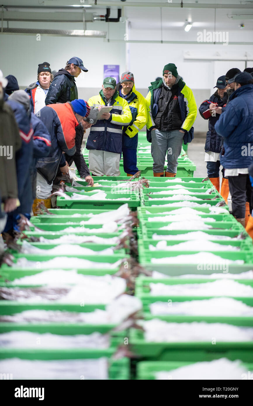Fish merchants view trays fish peterhead fish market hi-res stock ...