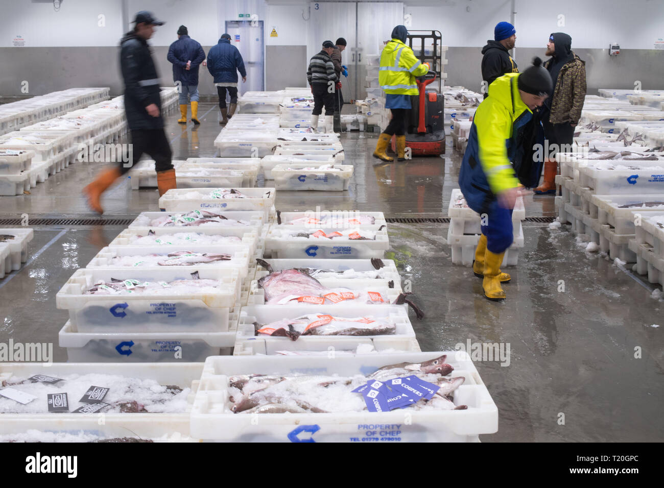 Peterhead fish hi-res stock photography and images - Alamy