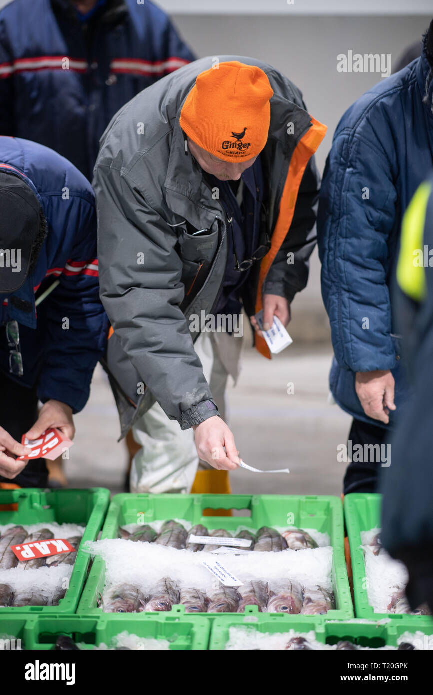 Fish merchants view trays fish peterhead fish market hi-res stock ...