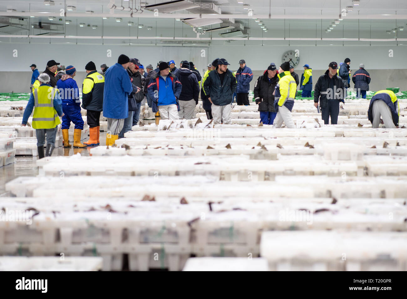 Peterhead fish market hi-res stock photography and images - Alamy