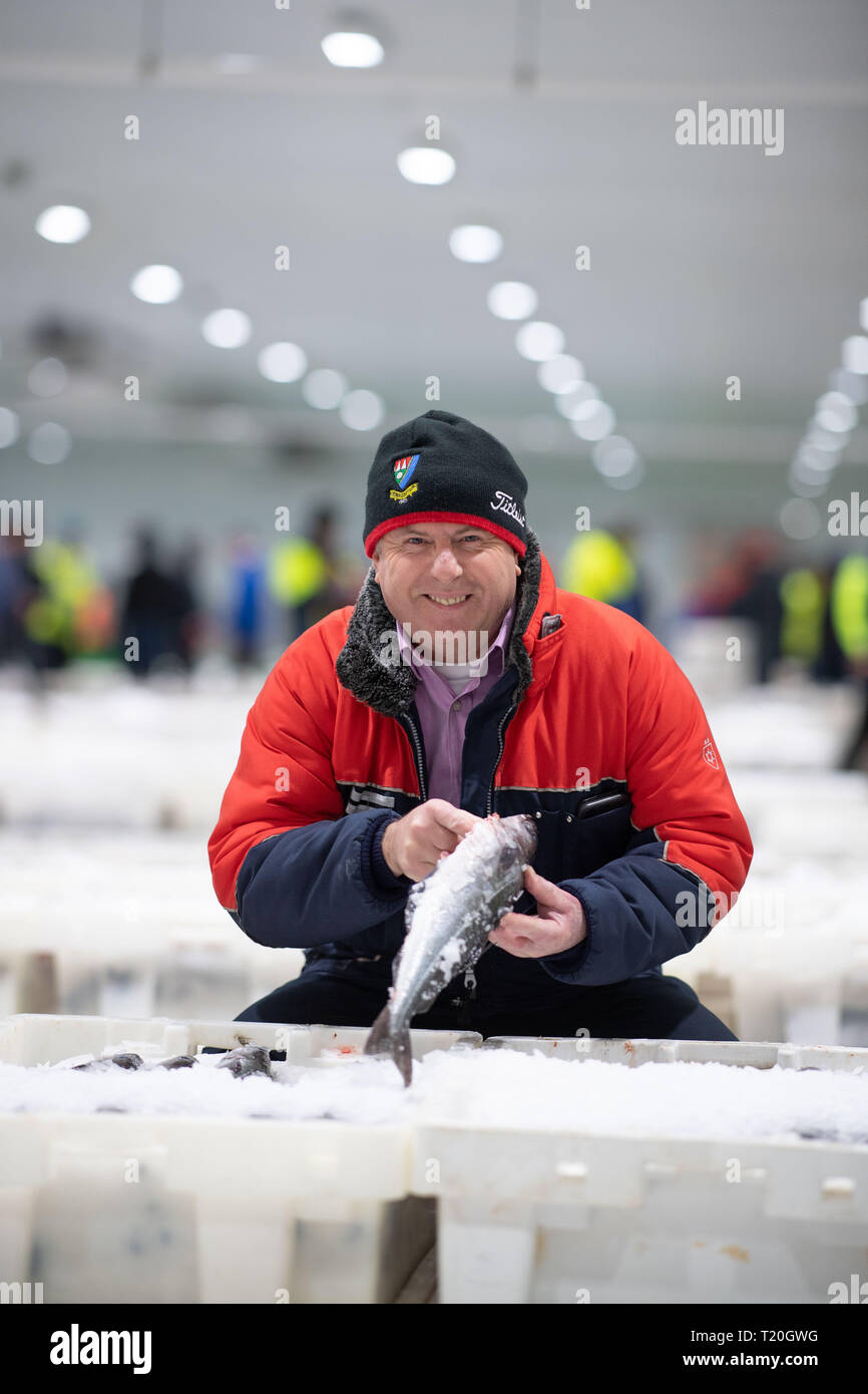 Andrew charles fish hi-res stock photography and images - Alamy