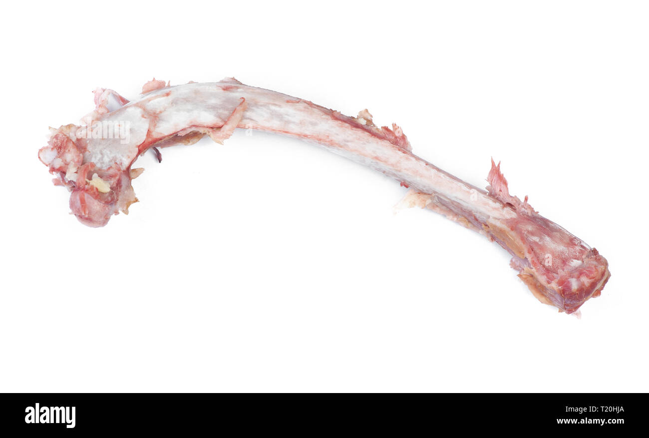Single bone with flesh isolated on white Stock Photo - Alamy