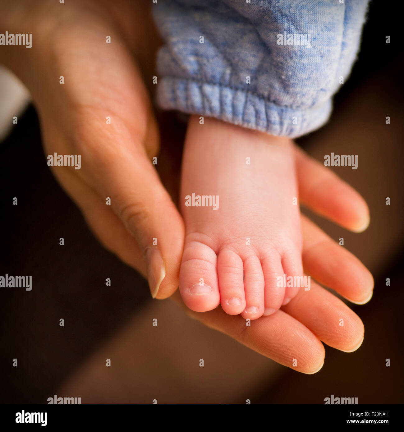 Baby patter hi-res stock photography and images - Alamy