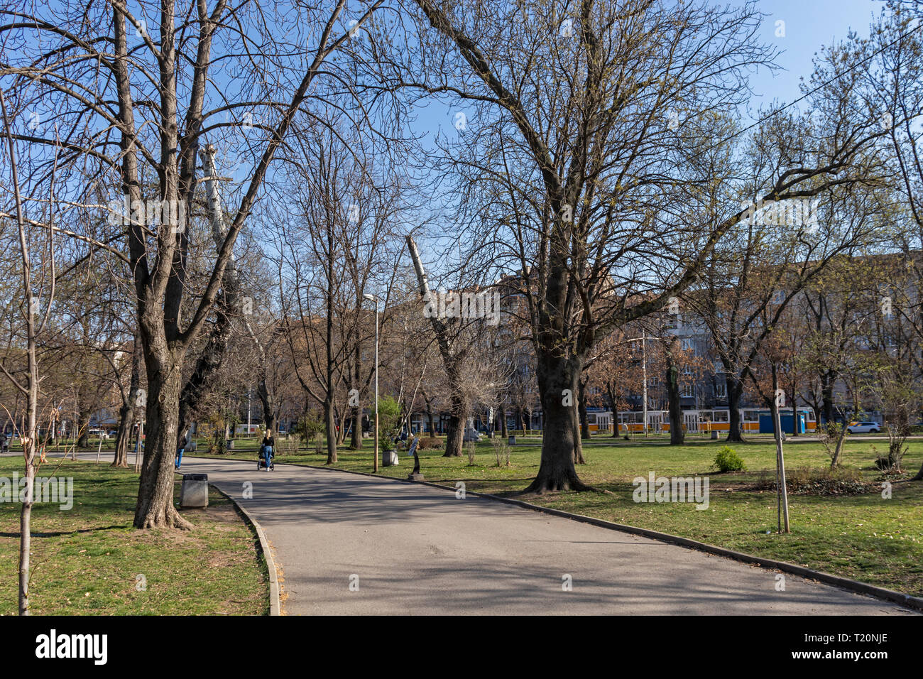SOFIA, BULGARIA - MARCH 27, 2019: Spring Landscape with Trees and ...