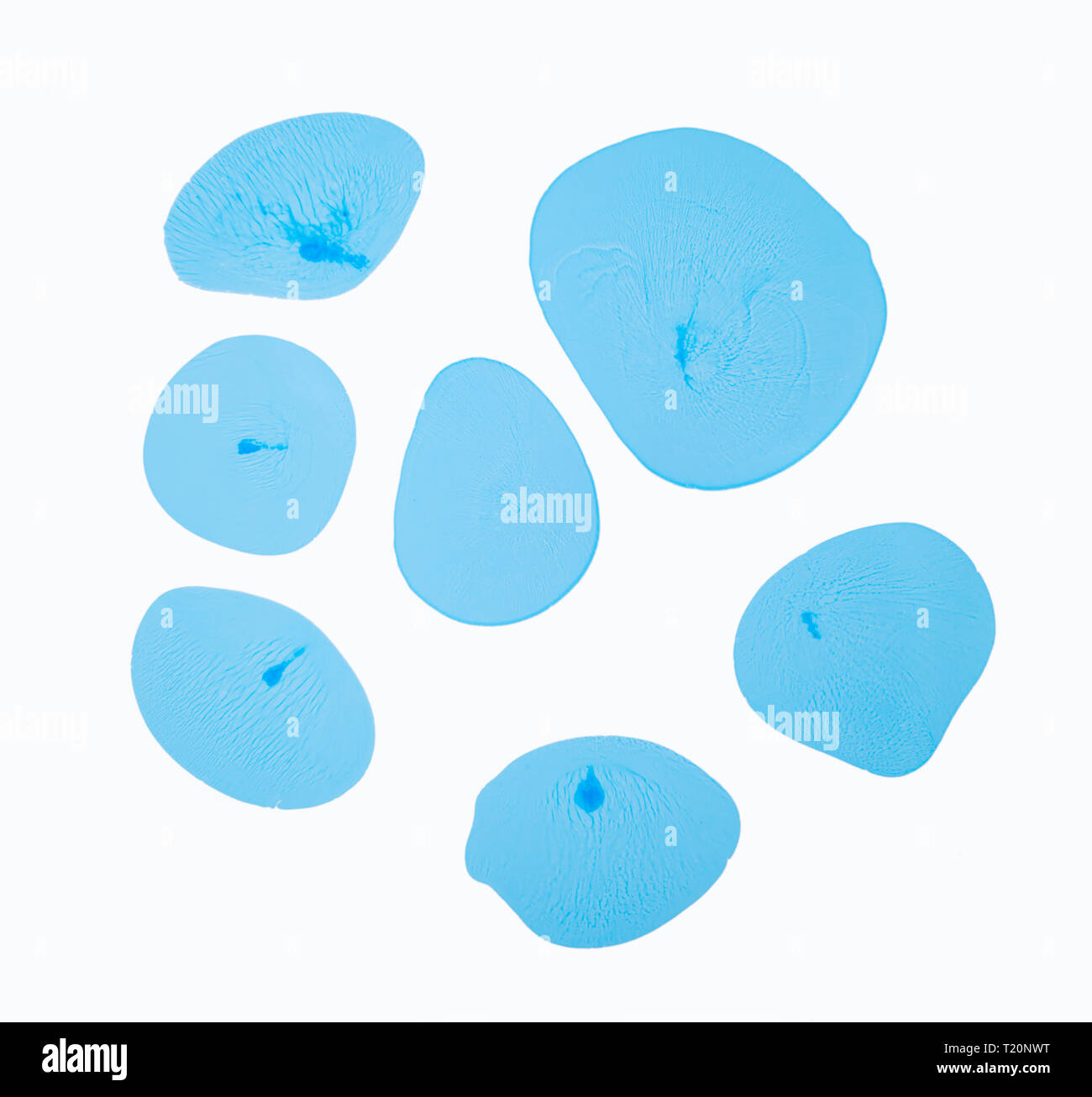 Abstract blue drops on the white background. View of macro world ...