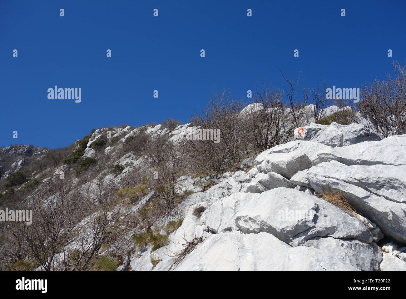 Pizzocolo Mountain High Resolution Stock Photography and Images - Alamy