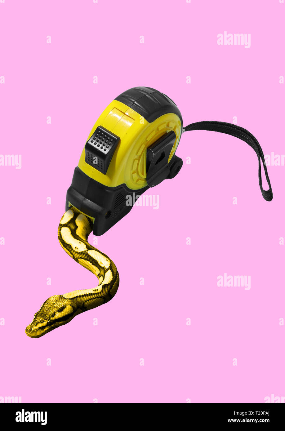 An alternative tape-measure. It needs flexibility. A yellow-black ...